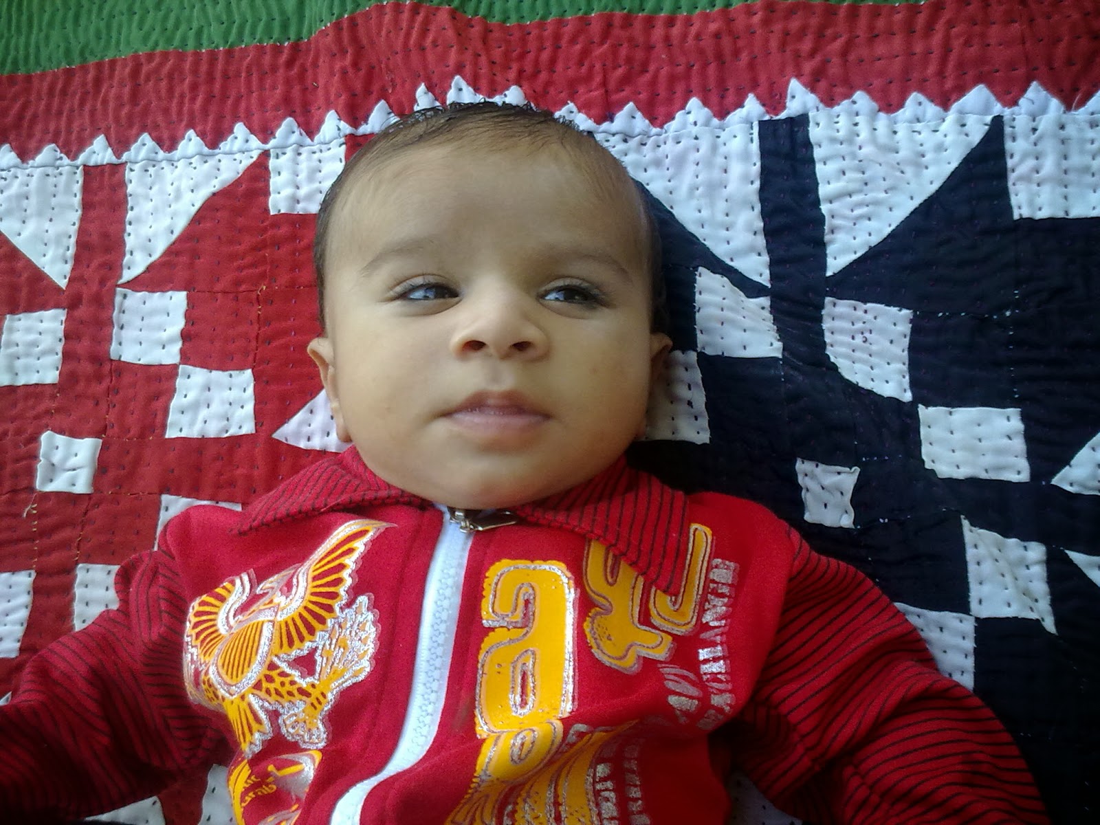 Aqib Ali Magsi - Aqib Ali Magsi photo - 03133278414