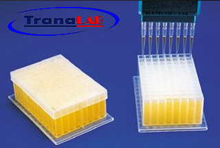 DEEP-WELL MULTIWELL PLATES - TRANALAB