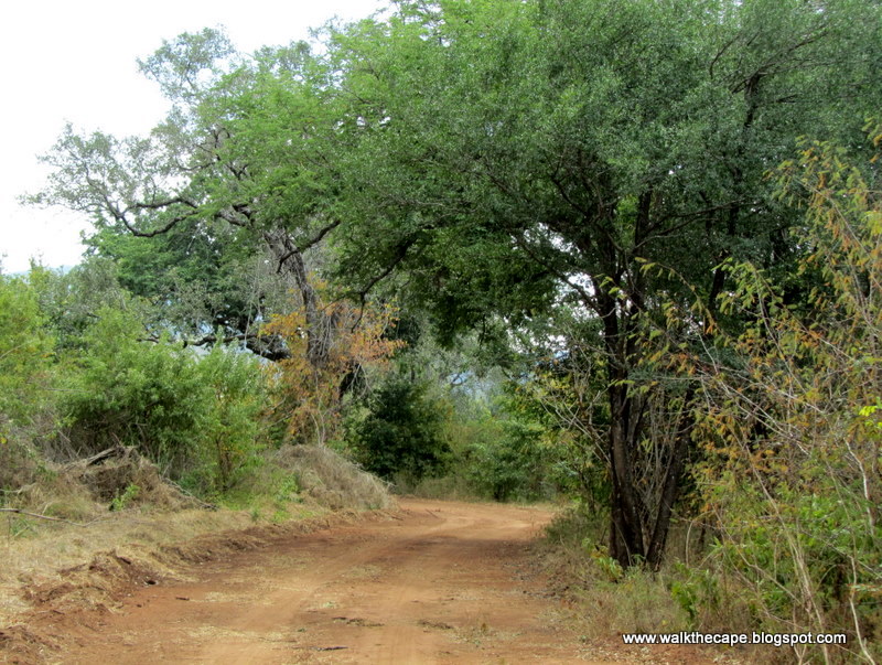 Walking the Cape: Lower Zambezi: Chongwe Falls