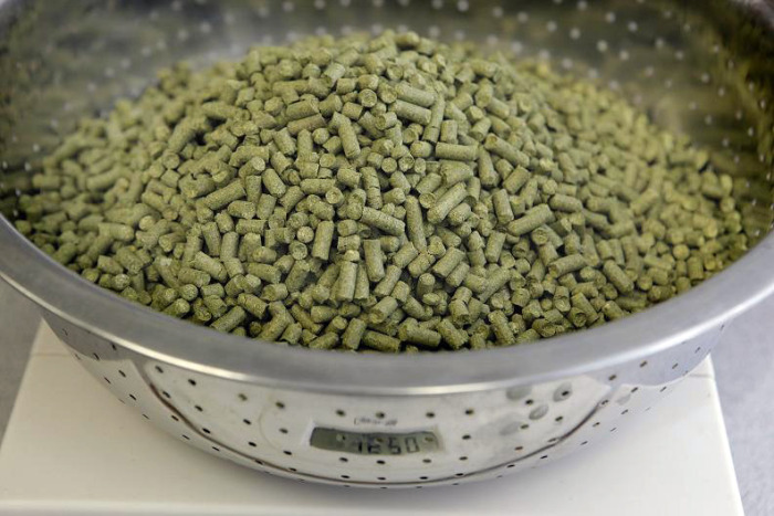 Meek Brewing Co.: Dry-hopping Tips