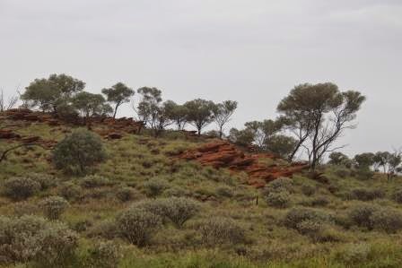 Away with the Goddards