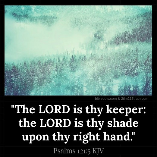 2 Timothy 2:15 Truth: Verse of the Day: Psalms 121:5 KJV