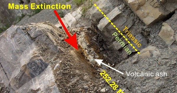 Permian-Triassic Extinctions Timed Differently on Land and at Sea ...
