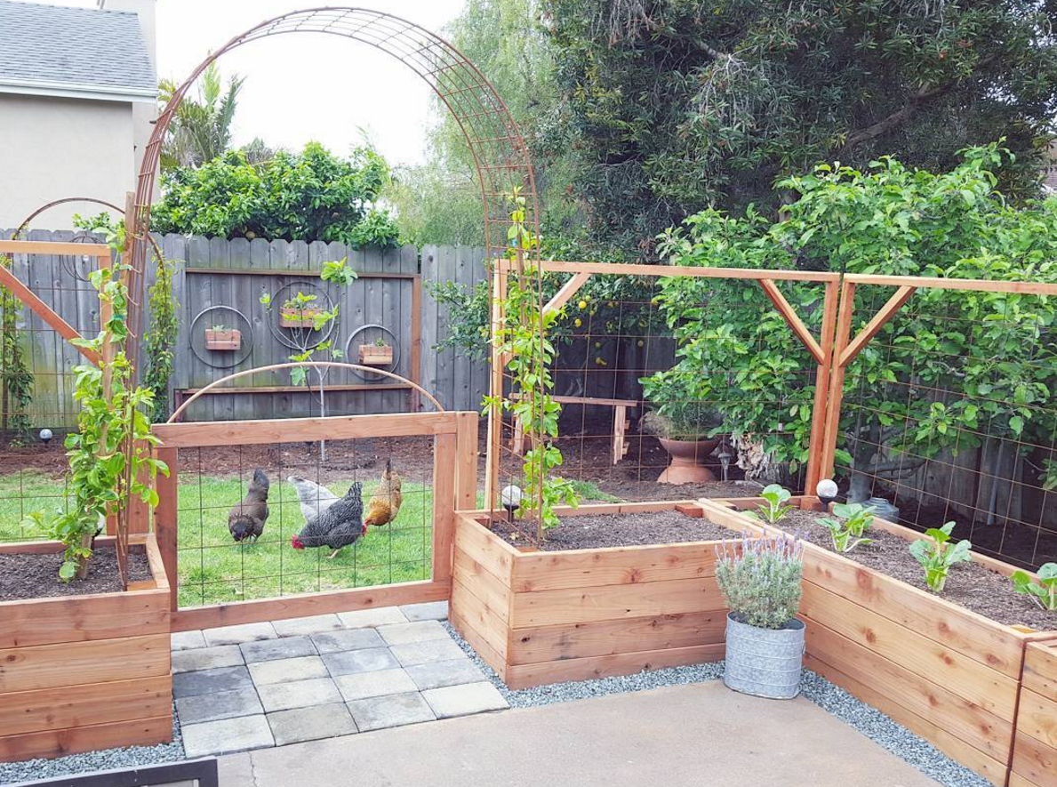 La Maison Boheme: My Favorite Backyard Farm on Instagram