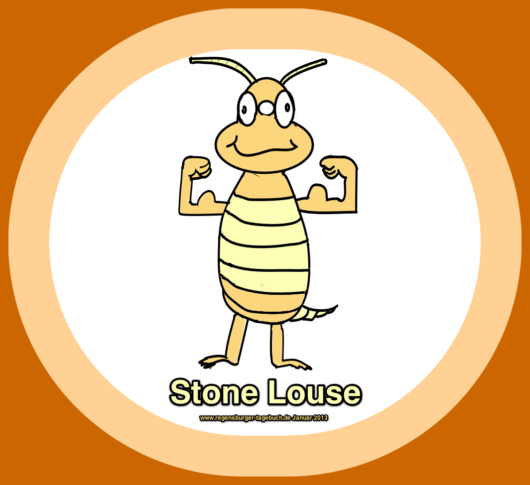 Regensburger Tagebuch: Rätsel um verschwundenen Bruckmandl-Arm gelöst ...