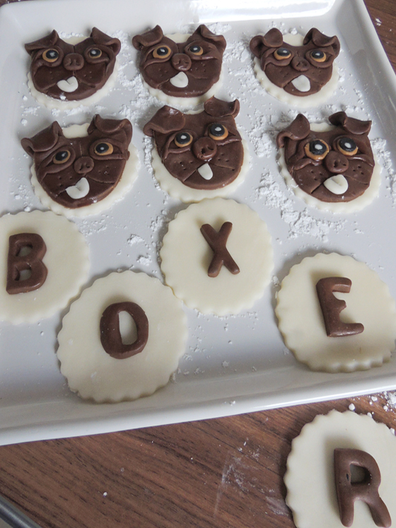 Boxer Muffins ...