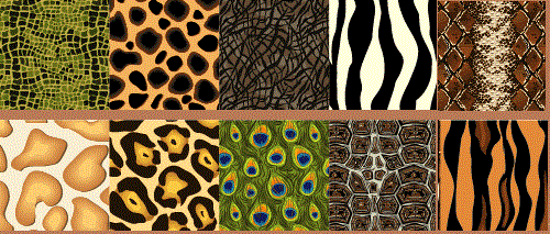 Derya Karasu Kursun Styling: Stil Dosyası: Animal Print