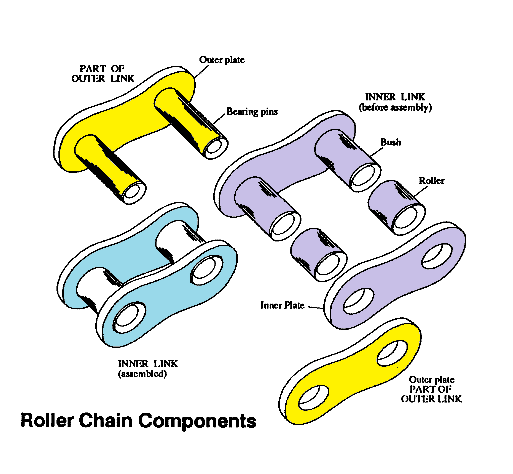 An Introduction to Types of Chains And selection