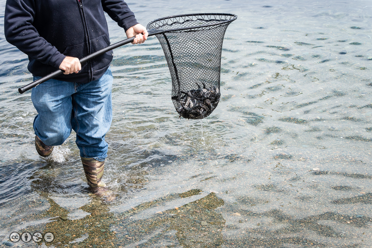 The FACzen Image: July 2018