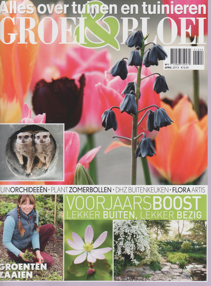 greencube's garden in Langton Green, near Tunbridge Wells features in ...