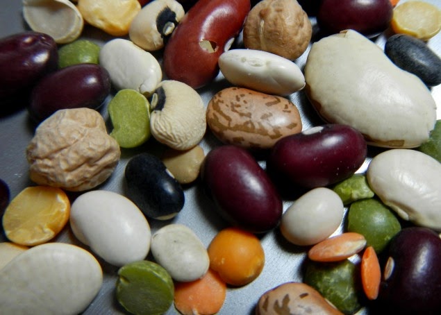 Nature Abhors a Garden: Planting Pintos