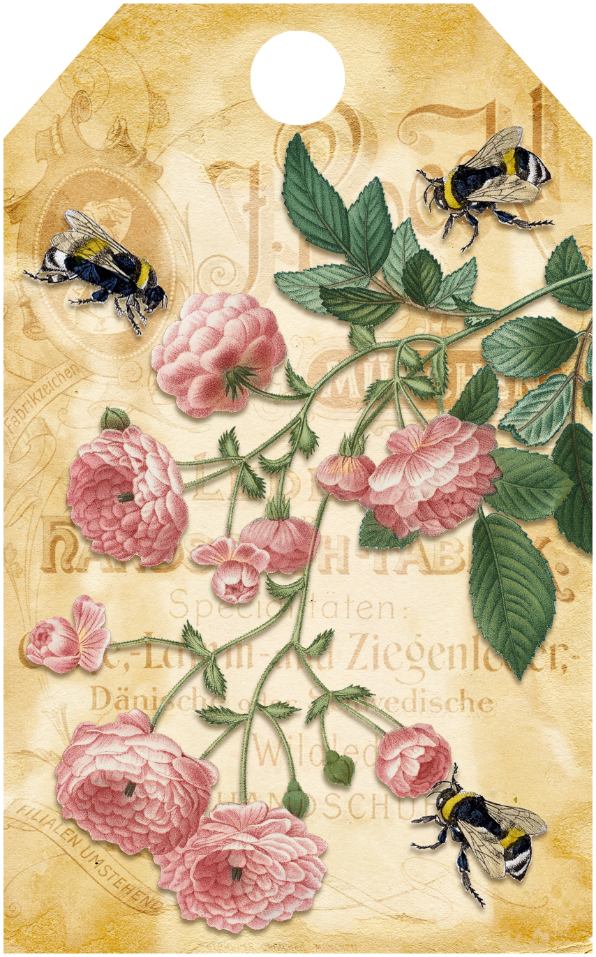 Bountiful Heirlooms: Free Printables: Bee and Beekeeping Tags