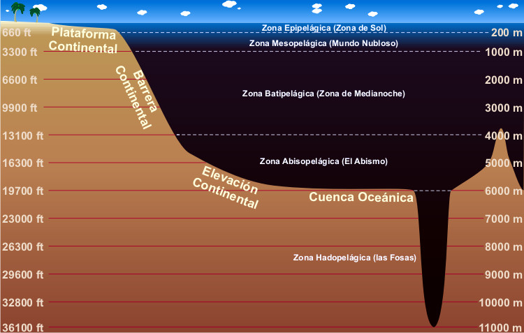 Meteorología Básica: Las capas del Oceano
