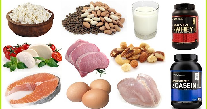Four Protein Types That You Should Have