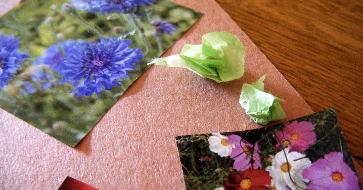 create (with kids): plant a collage | FreshlyPlanted