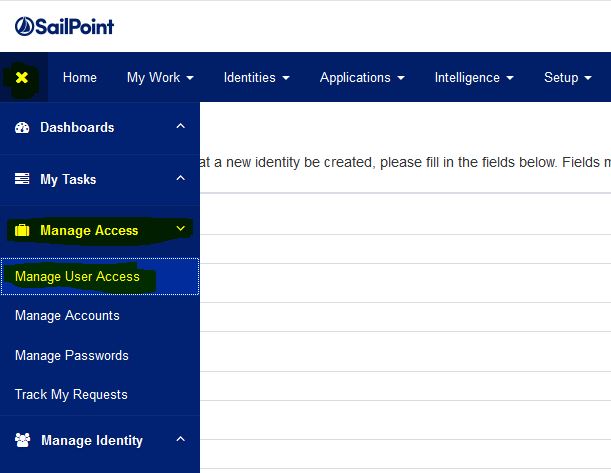 Sailpoint Tips and Tricks