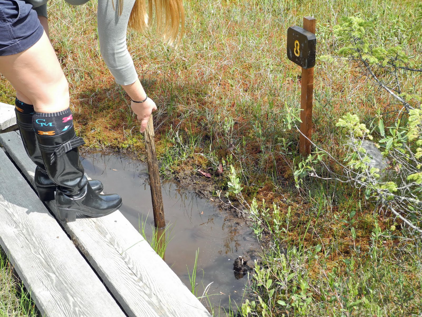Written In Stone...seen through my lens: June 2011