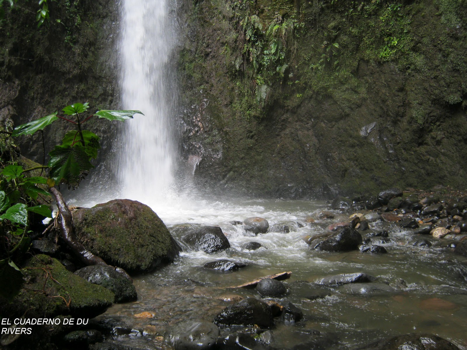 El Cuaderno de Du Rivers: Lugares: Coconuco