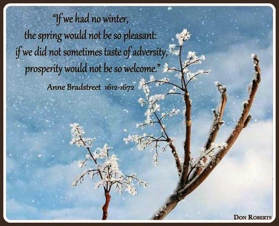 Reflections from Bon Bon Pond: April 2014