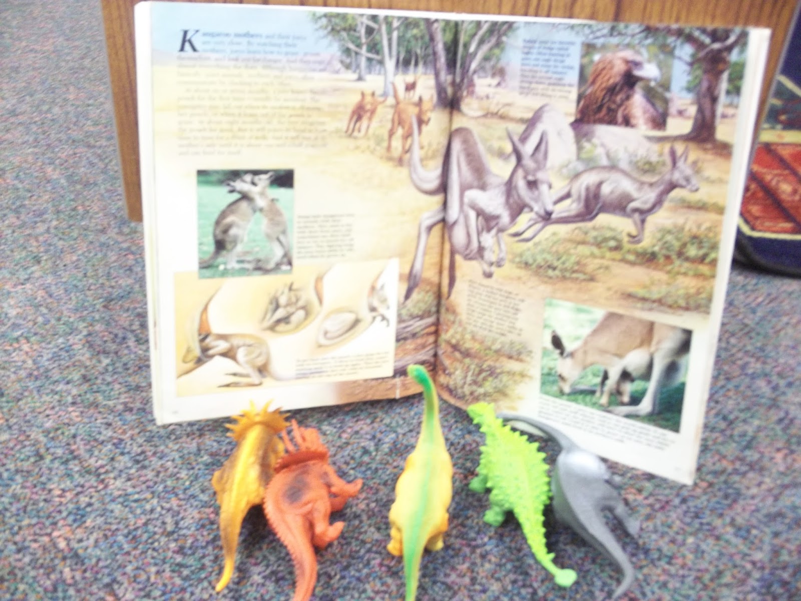 Sherwood Elementary School Library: What the Dinosaurs Did in the Library
