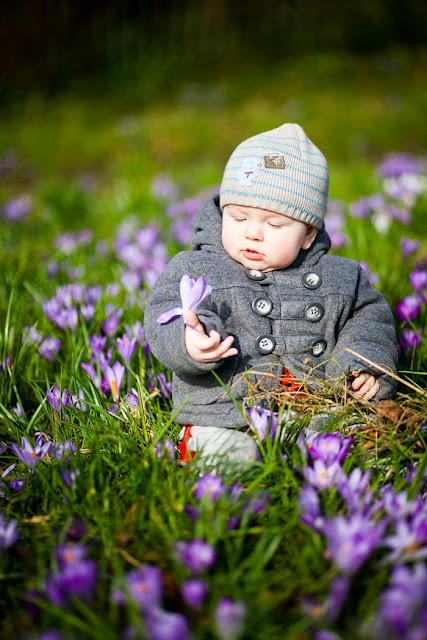 my blog: Children and Flowers