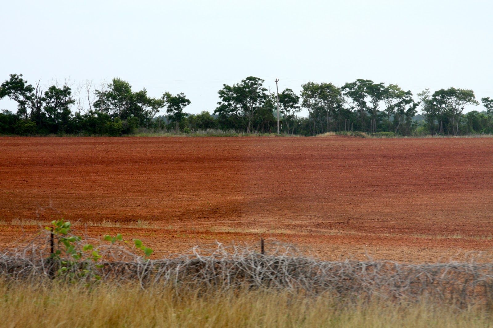 Ca$hjocky and the "Old Salt": That Good Old Alabama Red Dirt