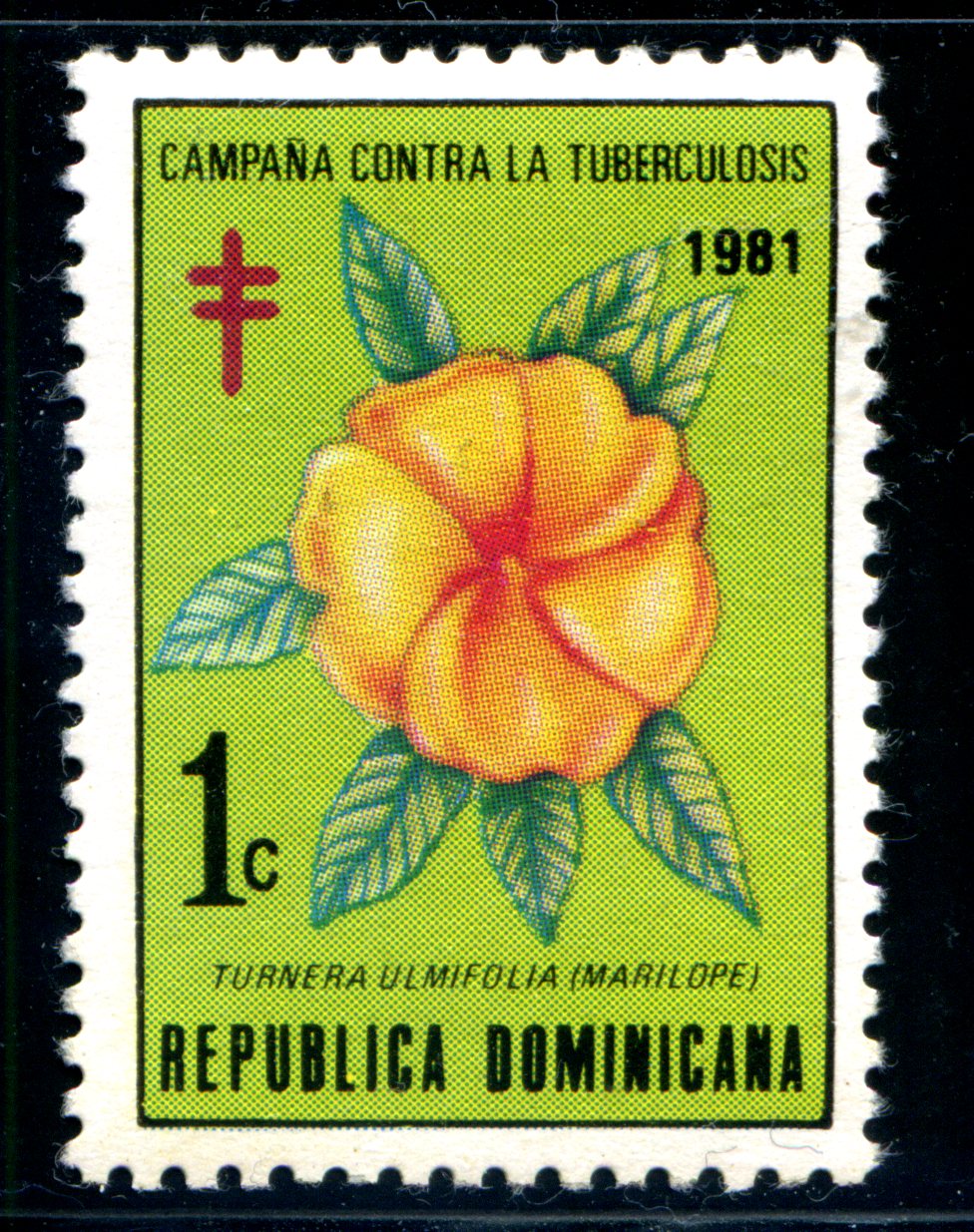 BIODIVERSIDAD FORESTAL: Biodiversidad Forestal(REPUBLICA DOMINICANA)