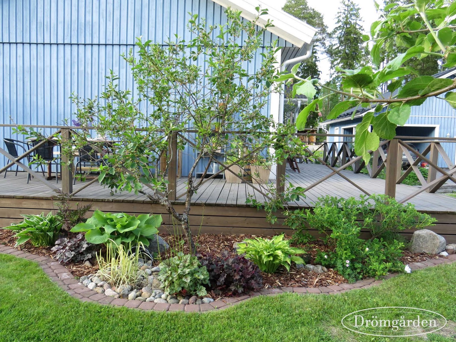 Drömgården: Färgsprakande rabatter