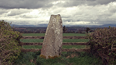 Historic Sites of Ireland: Kildare's Standing Stones