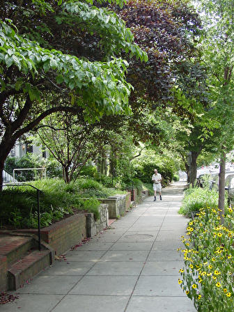 Long Island's Garden Girl ~: One in a Million