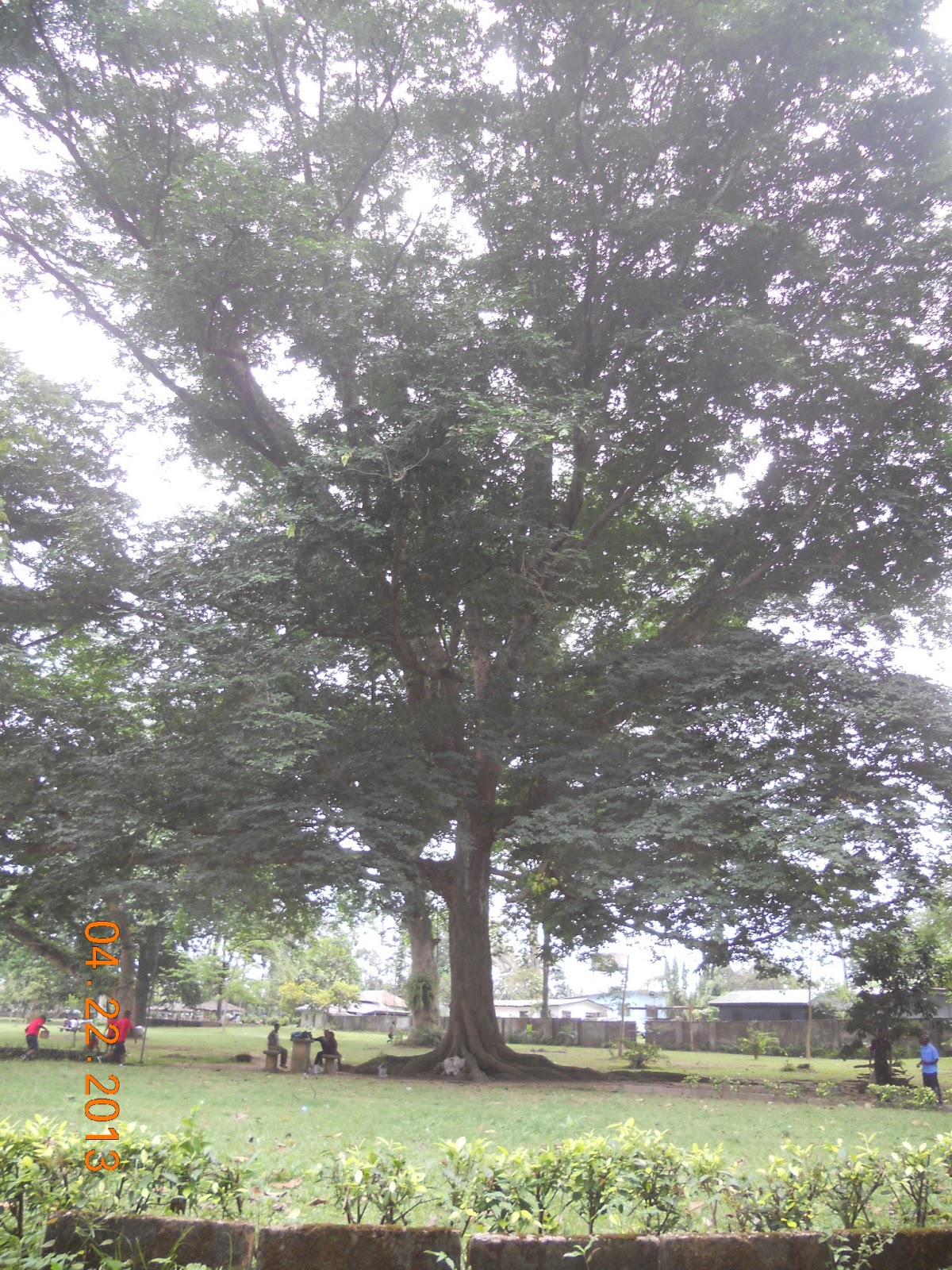 A Teacher's Adventure Journal