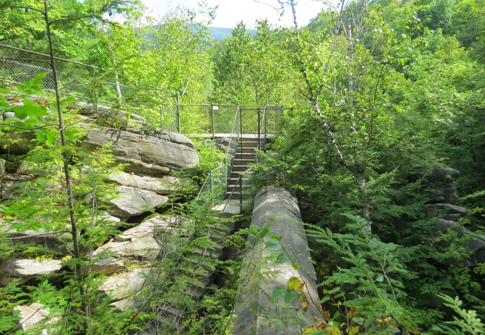 Where's Liz? 2014: White Marble Dam, Natural Bridge, and Mount Greylock