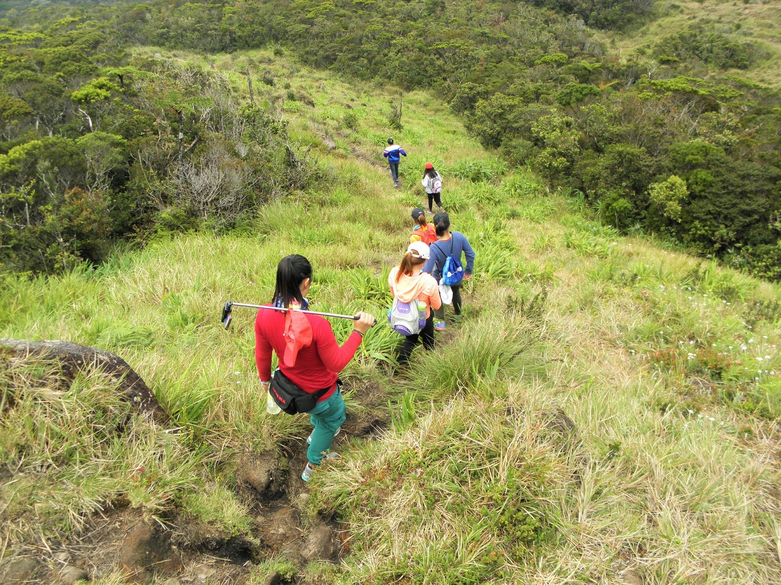 Hiking The Monkey Trails Of Mt. Tabayoc In Kabayan, Benguet
