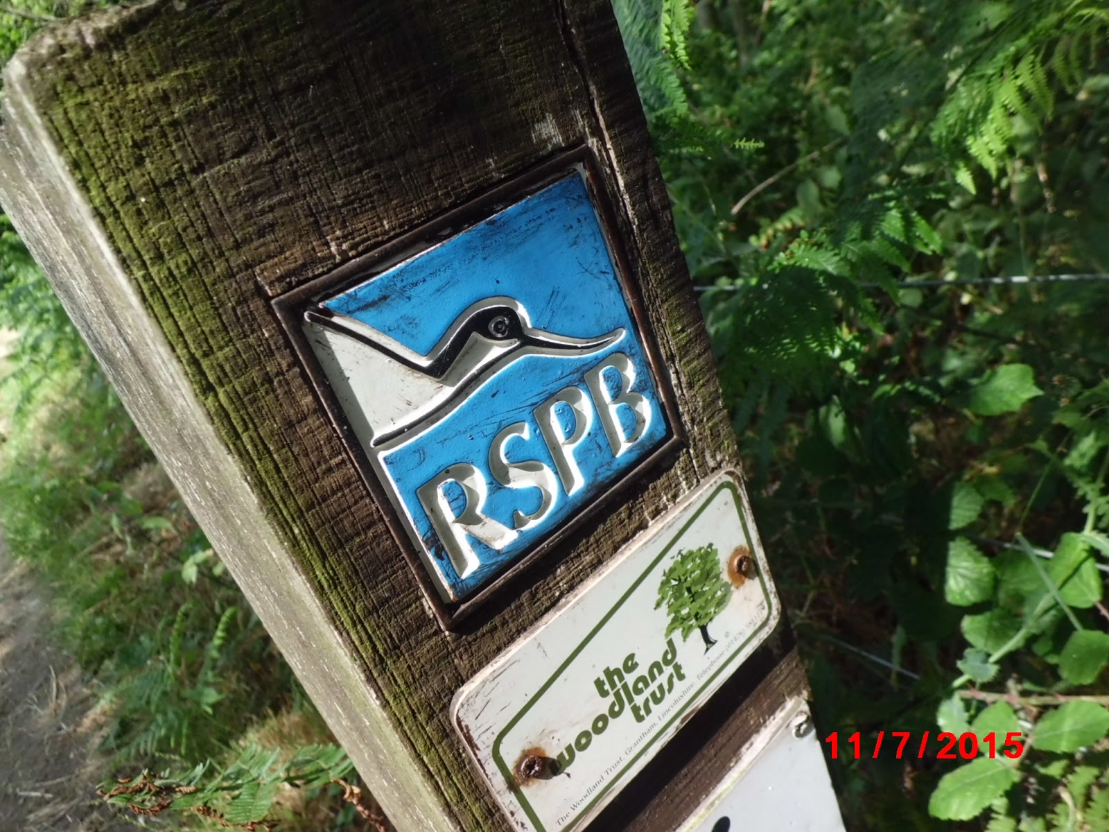 RSPB