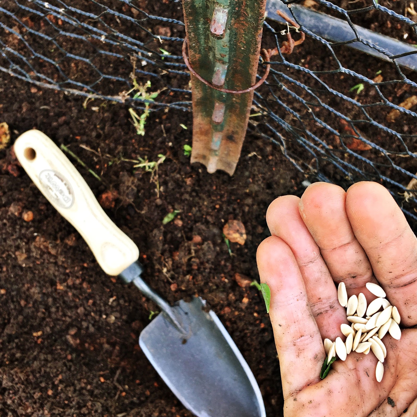natalie creates: Garden Workshop at Freckled Hen Farm