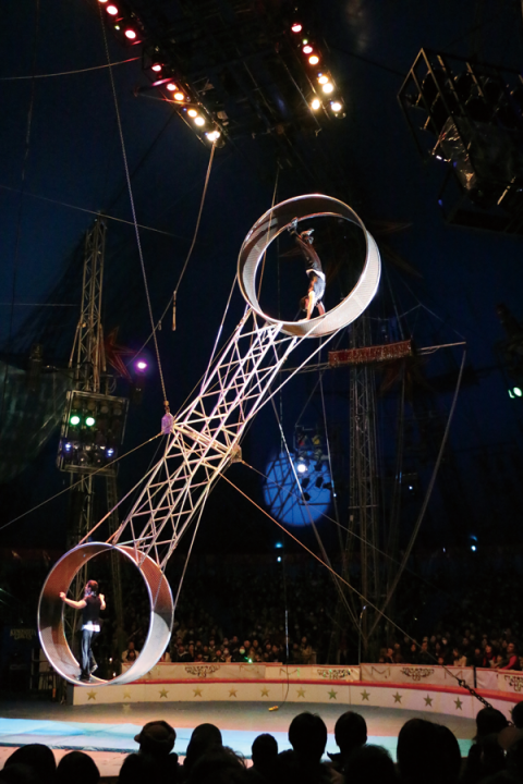 Sights, Events & Activities Info. in Hiroshima: KINOSHITA CIRCUS HAS ...