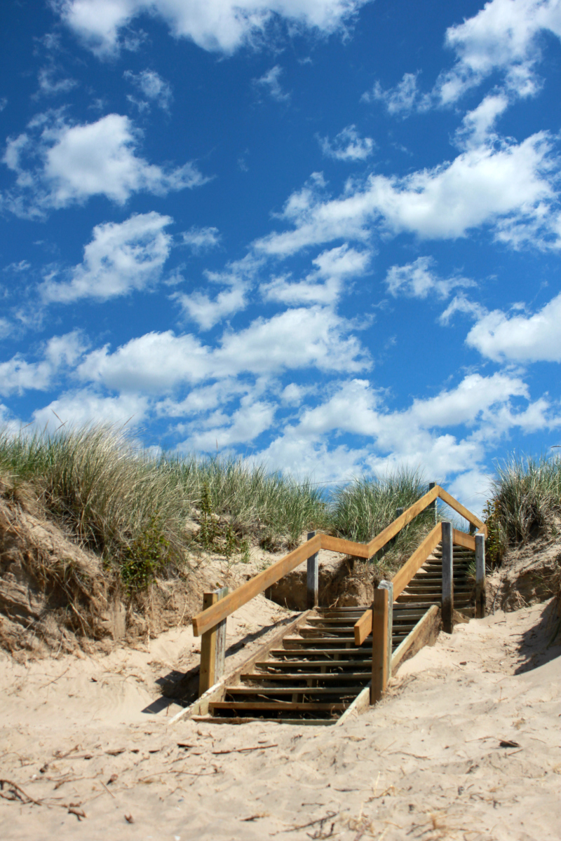 A Family First Camping Trip | To & Fro