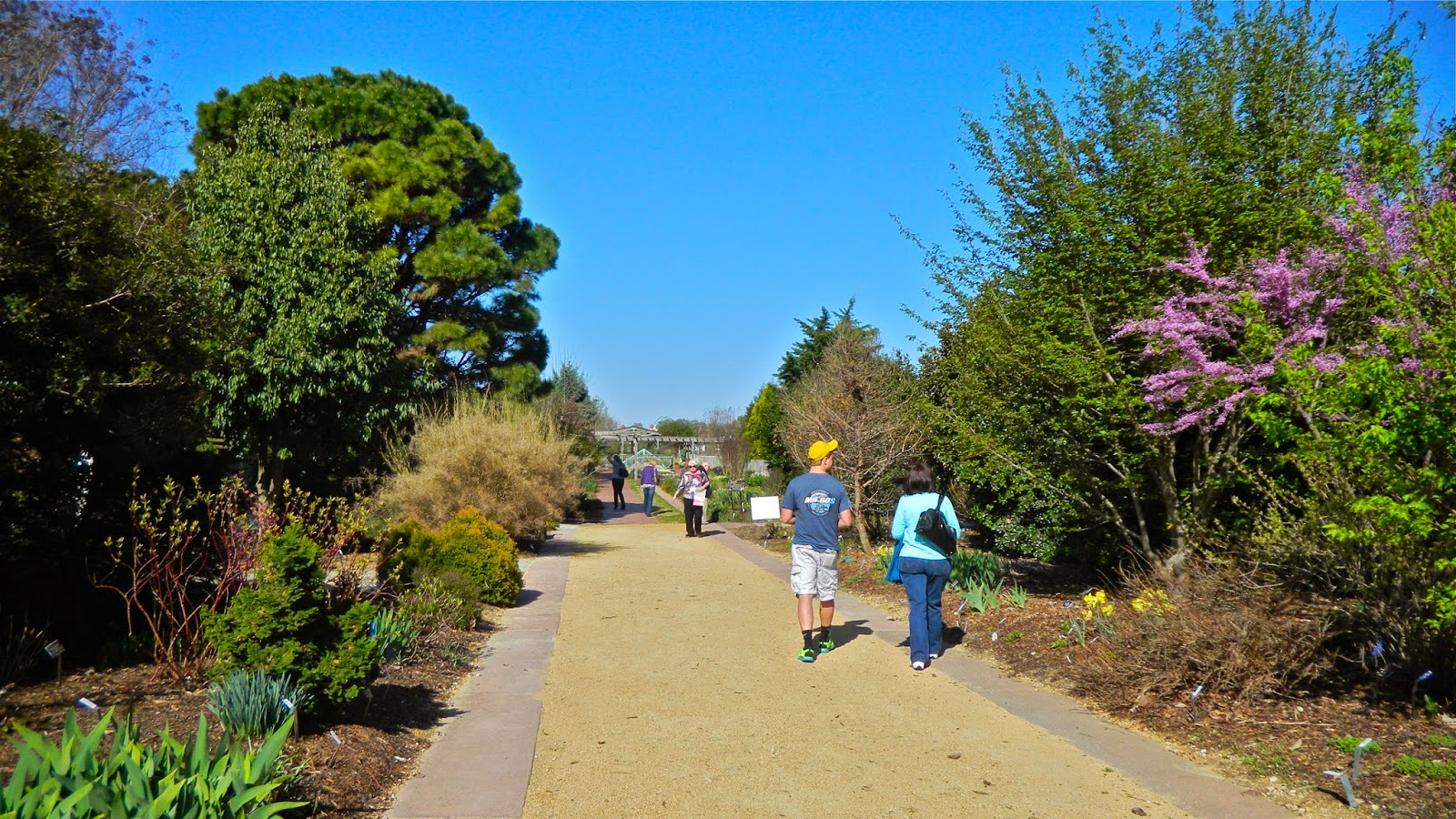 The Traveling Gardener: Public Gardens of the Triangle