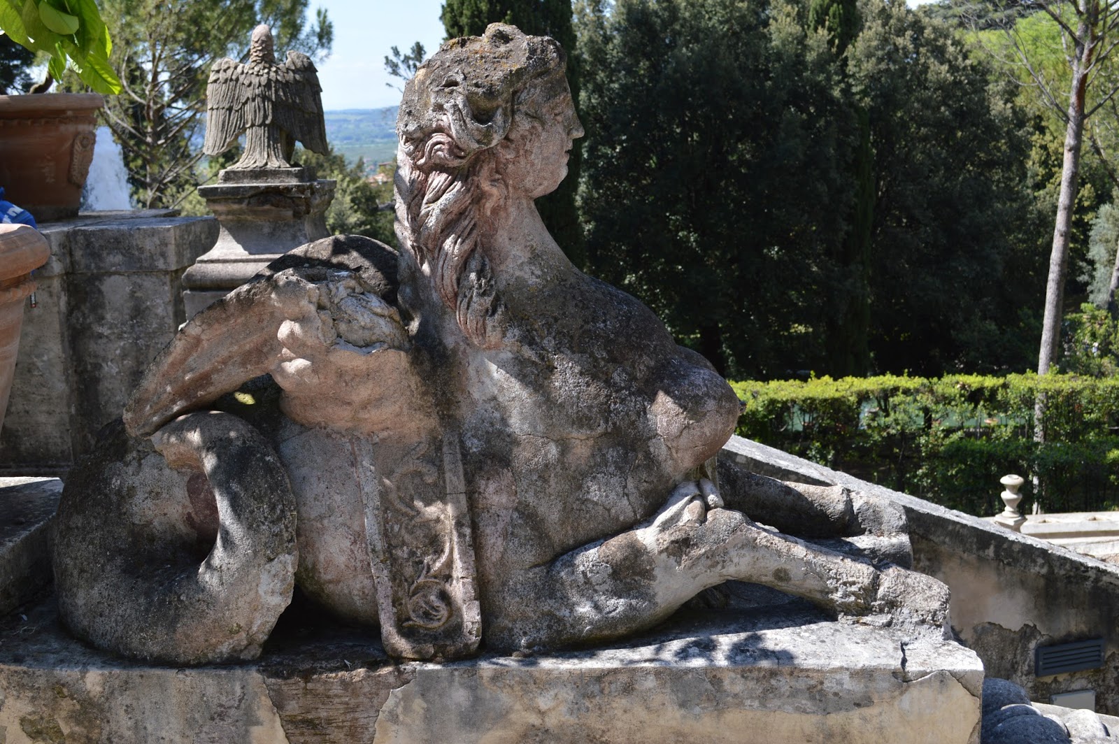 Hortus Roman 5 - Villa D'Este