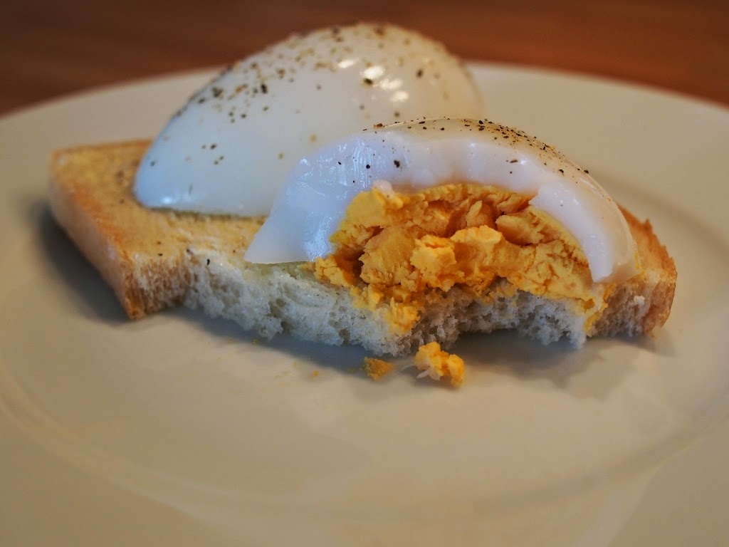 Becca and Daniel In Norway: Seagull eggs