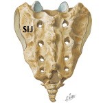 Physiatry: Not Your Typical Field of Medicine: Sacroiliac Joint Dysfunction