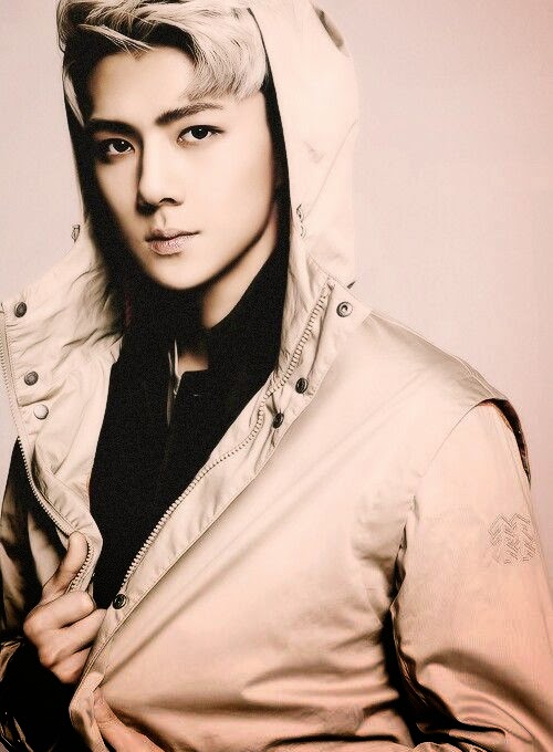 Voshow's Blogger: [ Kpop ] EXO part 17 the most handsome (Oh-Sehun)