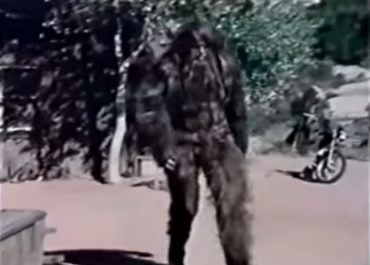 John Kenneth Muir's Reflections on Cult Movies and Classic TV: Saturday ...