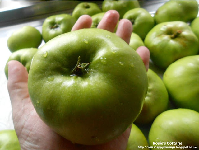 Rosie's Cottage: An Early Harvest For Beautiful Scottish Bramley Apples ...