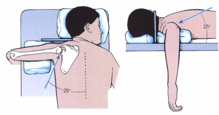 Outlet Projection View Shoulder | semashow.com