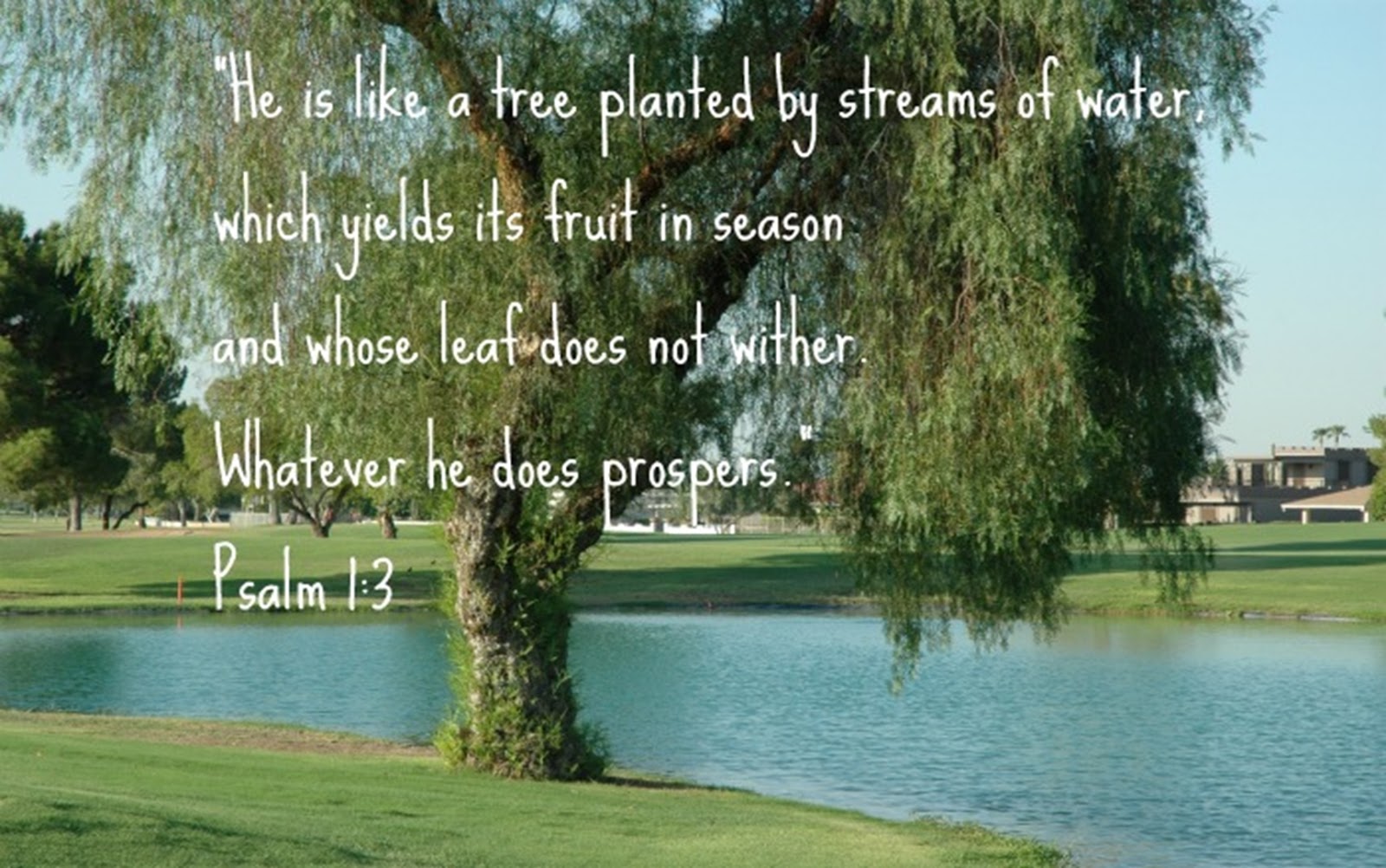 Gospel Chicka: Divine Prosperity