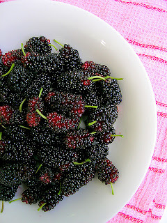 Docaitta Lifestyle: Gardening & Recipe: Mulberry Trees and Homemade Jam!