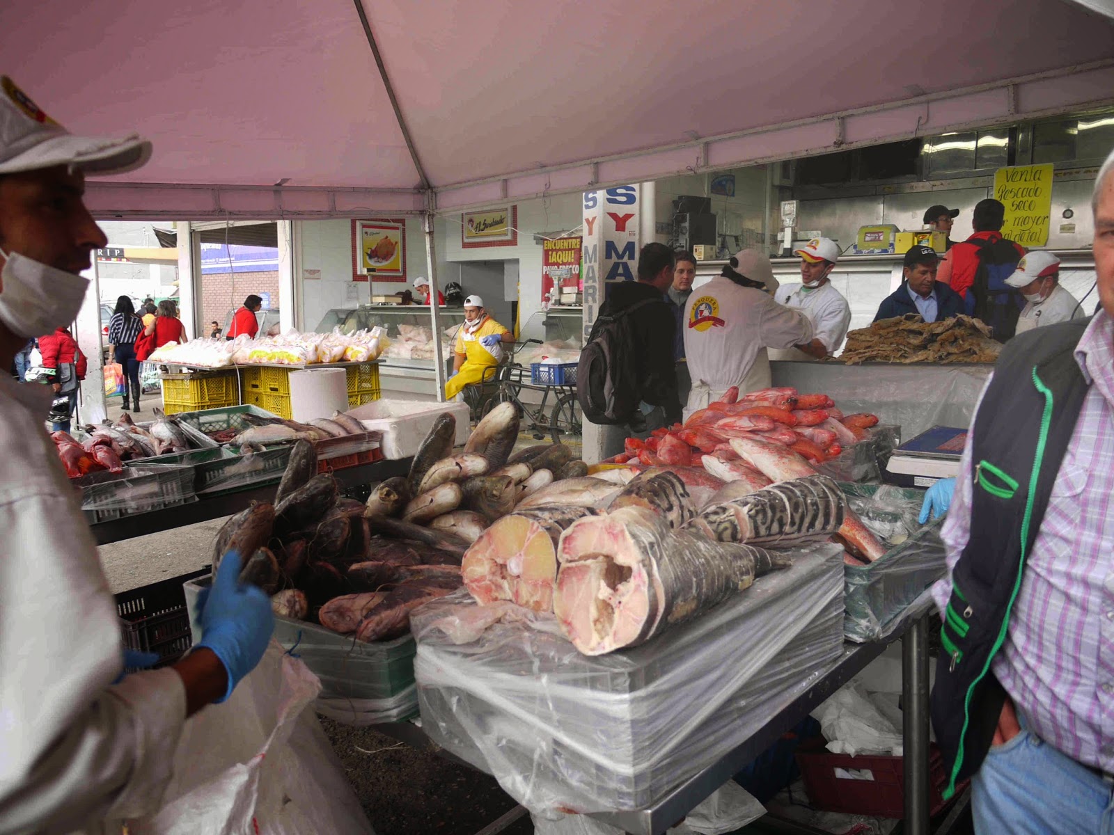 Mike's Bogota Blog: Fish Feeding Frenzy in Paloquemao