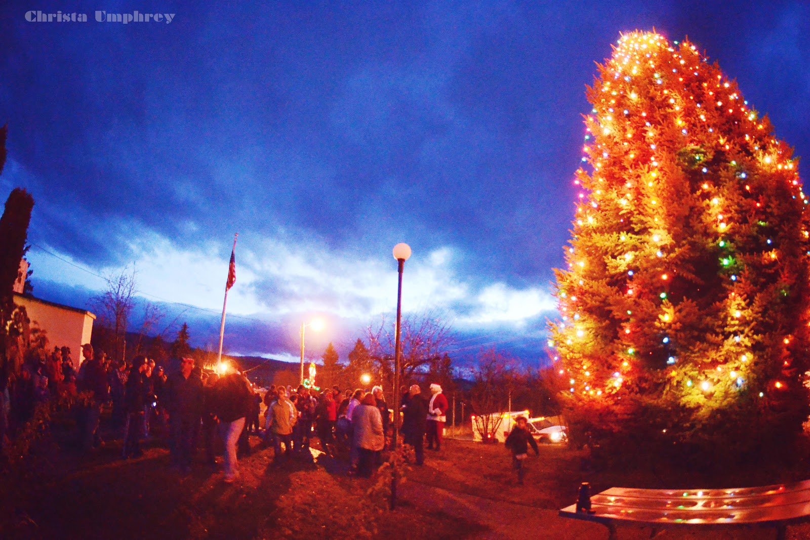 Cohesive Pieces: 333: Community Tree Lighting