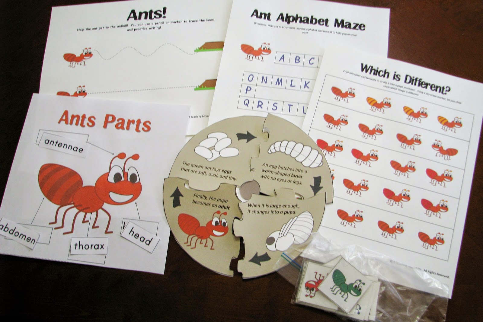 Mommy's Little Helper: Ant Preschool Theme